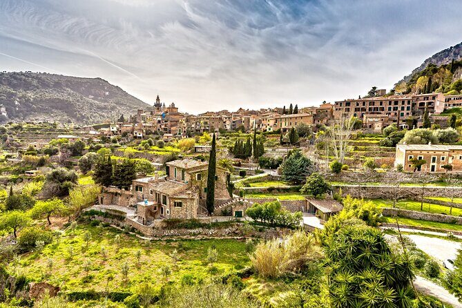 Best Palma de Mallorca and ValLdemossa Tour from Cruise Port - Final Thoughts