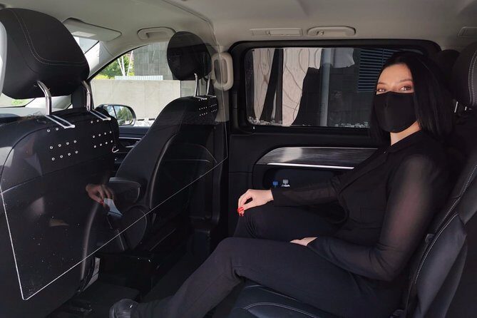 Best Private Full day Tour to Salamanca from Madrid hotel - Key Points