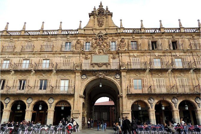 Best Private Full day Tour to Salamanca from Madrid hotel - Who Will Benefit Most?