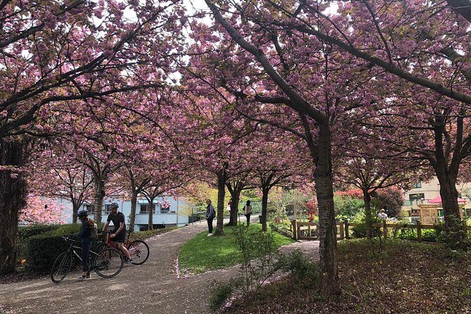 Best Selling Vancouver Sightseeing Tour 5 Hours(Private setting) - The Practicalities: Planning Your Tour