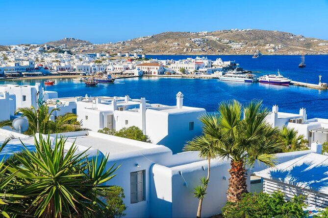 Best Shore Excursion Discovering Mykonos from Cruise Port - A Detailed Look at the Mykonos Shore Excursion