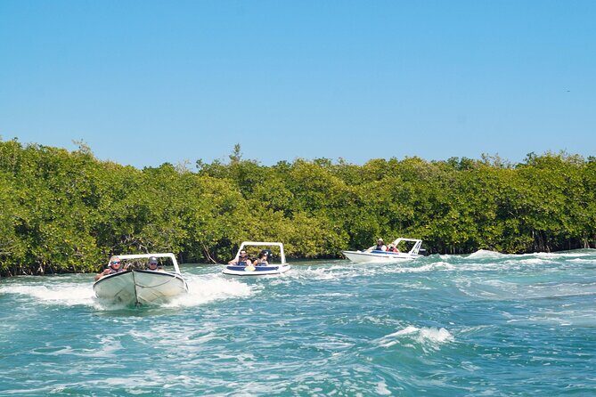 Best SpeedBoat and Snorkeling tour with Transfer from Cancun - The Value of This Tour