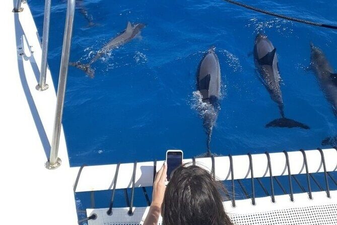 Best Waikiki Snorkel Tour: Guaranteed Turtles at Turtle Canyon - The Sum Up