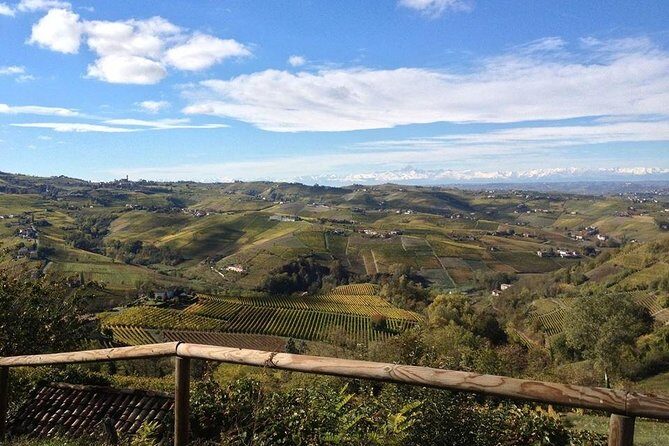 "Between Langhe and Monferrato" - Wine Tasting and Cellar Visit - Final Thoughts