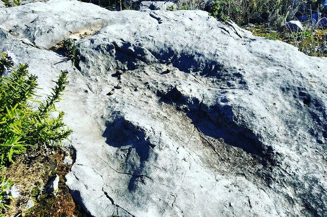 Between Rocks and Silences : Scientific and Emotional Exploration PNSAC - The Value Proposition