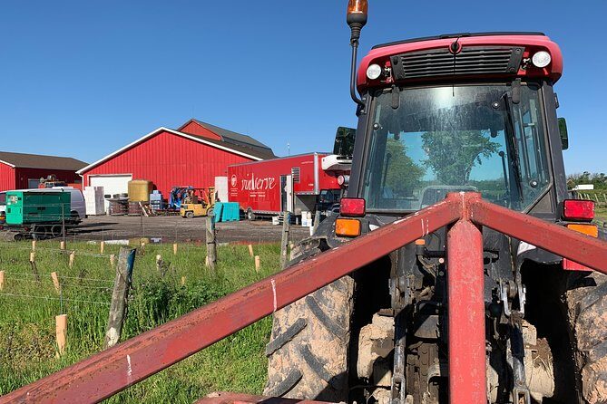 Between The Lines Classic Wine Tasting - Who Will Love This Experience?