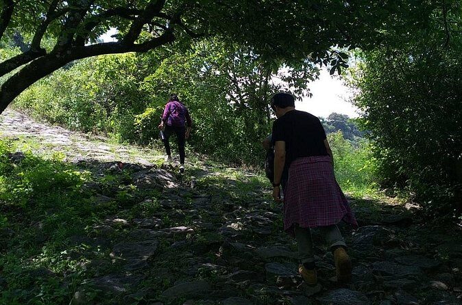 Between Tunnels and Bats - FAQ