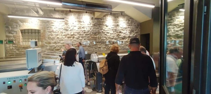 Bevagna: Olive Oil Mill Tour with Guided Tasting - Exploring the Experience in Detail