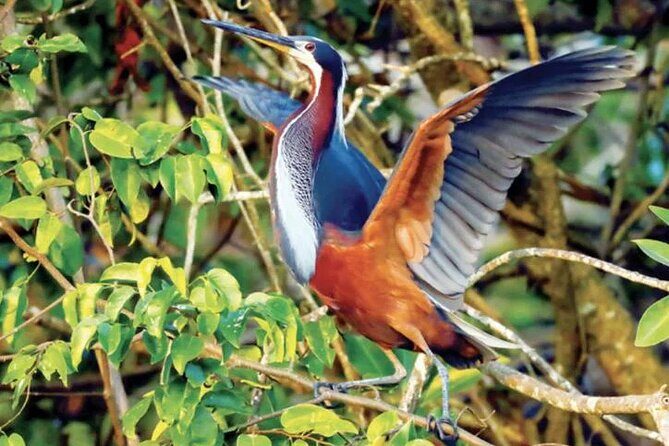 Beyond Bacalar: Pirate Route Exploration + River Float + Lunch - The Sum Up