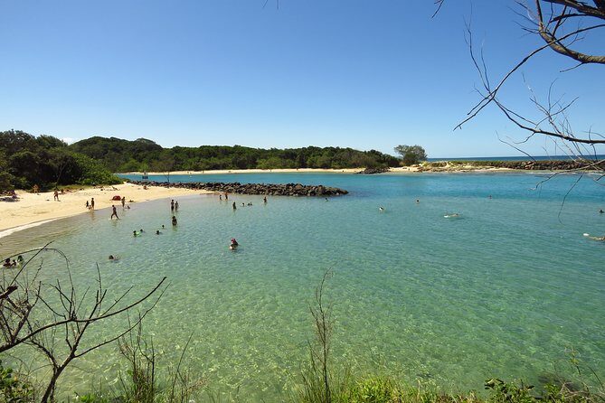 Beyond Byron Hinterland Tour - What’s Included and What to Consider