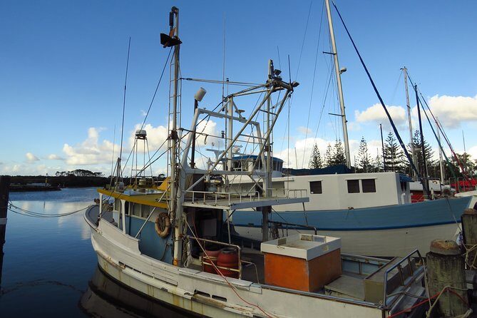 Beyond Byron Hinterland Tour - FAQ