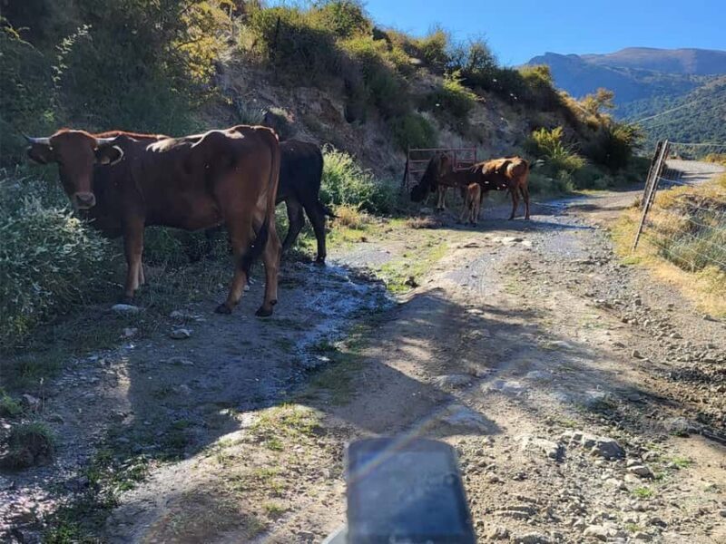 Beyond Los Cahorros: Adventure Through the Sierra Nevada - FAQ