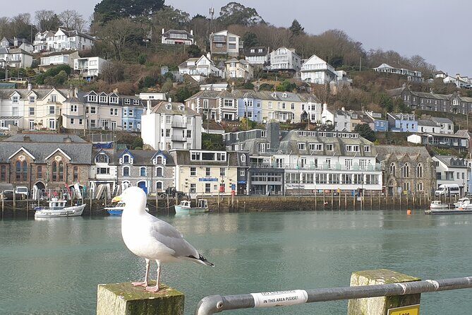 Beyond Paradise TV Show Locations Tour - Final Verdict: Who Should Book This?