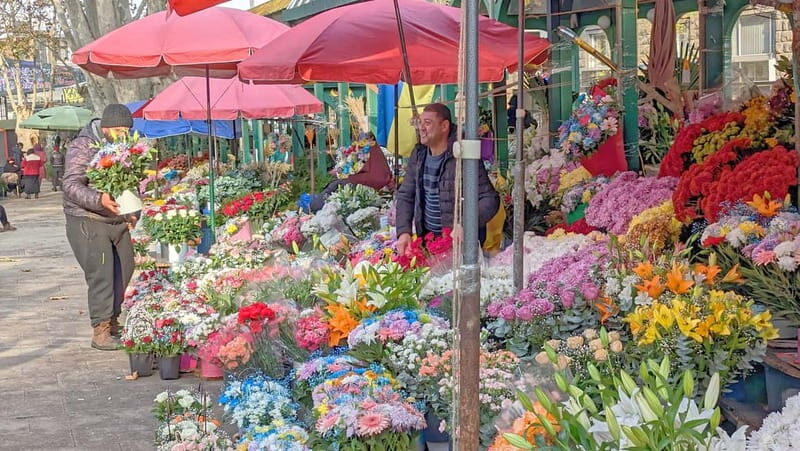 Beyond the Old City: Tbilisi's Hidden Gems Walking Tour - Key Points