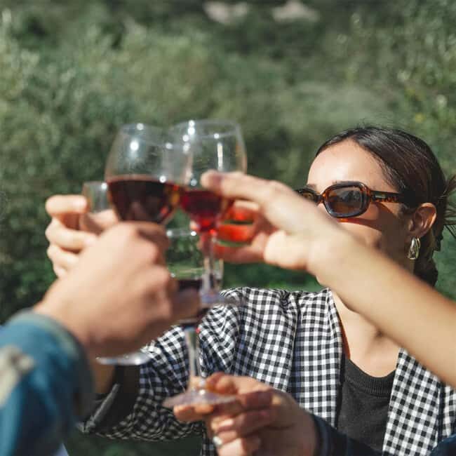 Béziers : Wine Tours & Wine tasting - Exploring Béziers: A Wine Lover’s Dream in the South of France