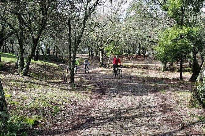 Bicycle rental in Porto for the Santiago de Compostela Road - FAQ