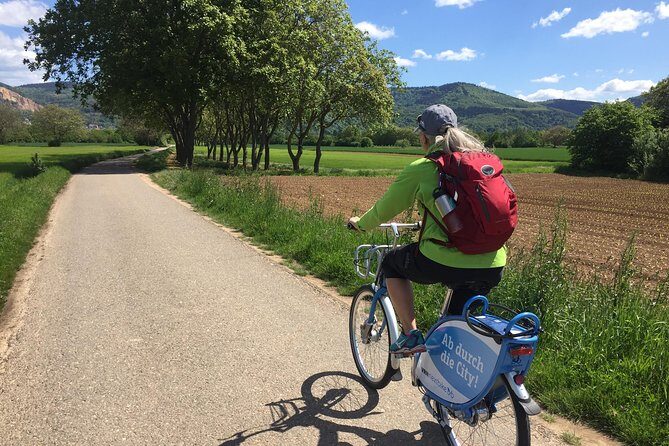 Bicycle Tour from Heidelberg to quaint Ladenburg. - An In-Depth Look at the Bicycle Tour Experience