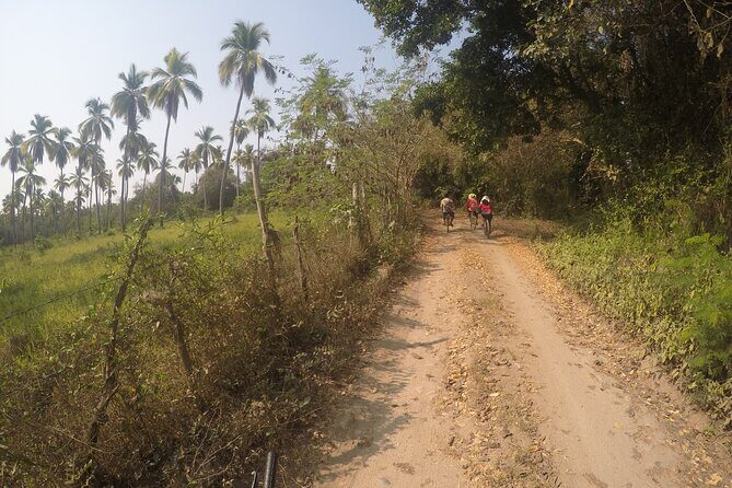 Bicycle Tour in Ixtapa - Why This Tour Works