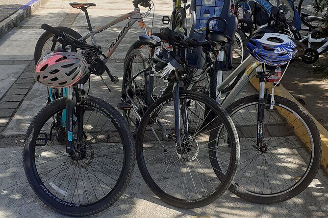 Bicycle Tour in Ixtapa - Who Should Consider This Tour?