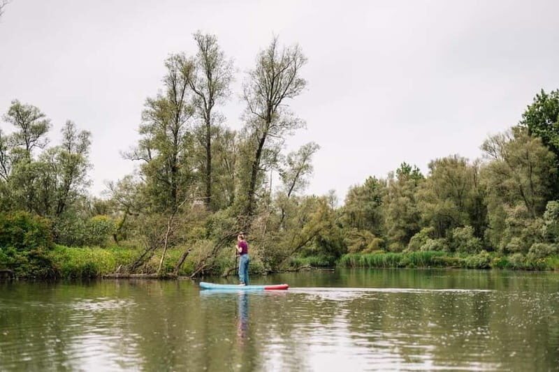 Biesbosch: SUP Board Rental - Introduction