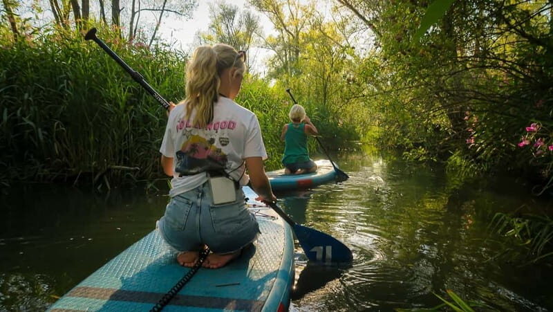 Biesbosch: SUP Board Rental - Exploring the Experience