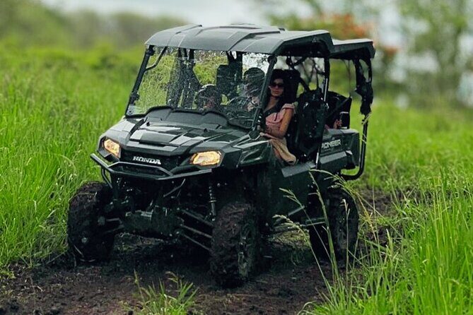Big Island Family Off Road Farm Adventure - Big Island Family Off Road Farm Adventure: A Detailed Look