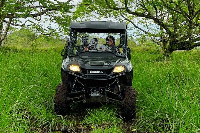 Big Island Family Off Road Farm Adventure - The Real Traveler Perspective