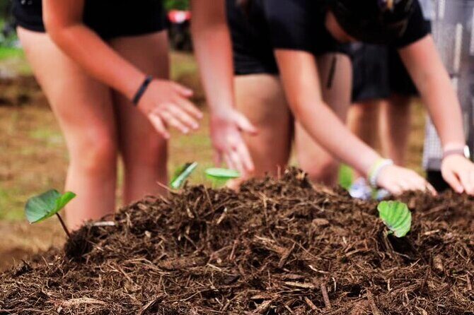 Big Island Family Off Road Farm Adventure - The Sum Up