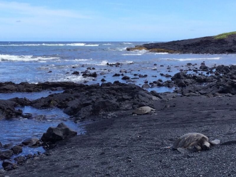 Big Island: Full Day Circle Island Tour From Kona - Authentic Insights from Reviewers