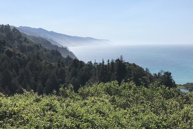 Big Sur Sightseeing Tour - Authentic Experiences & Traveler Insights