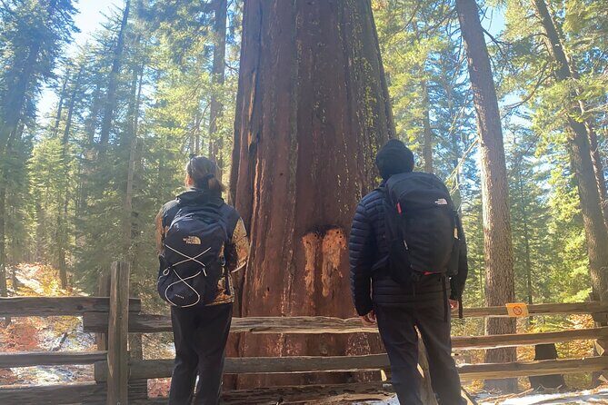 Big Trees Hike & Riverside Cookout Adventure - Key Points