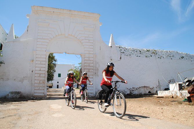 Bike oil tour in Monopoli - An Authentic Ride Through Monopoli’s Olive Country