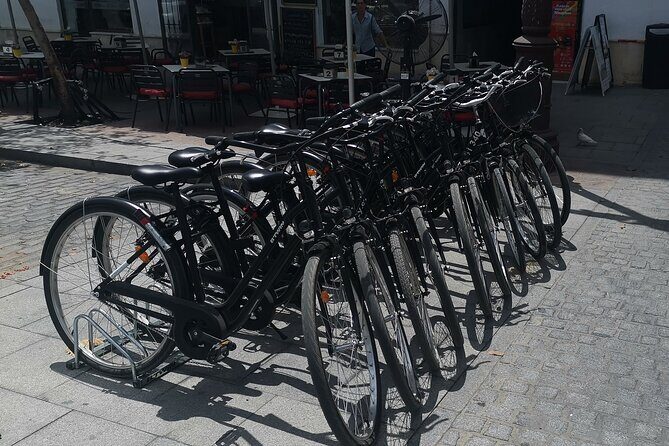 Bike rental day - In-Depth: What to Expect from Your Bike Rental Day