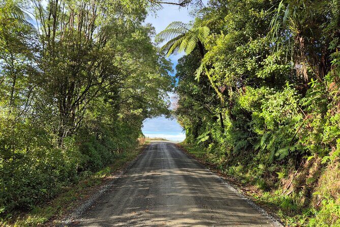 Bike Rental in Waitomo Caves - Key Points