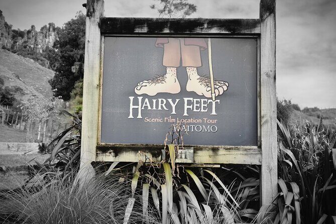 Bike Rental in Waitomo Caves - An Introduction to the Experience