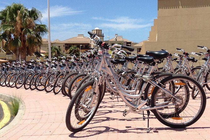 Bike Rental Tenerife - Why Choose Bike Rental Tenerife?