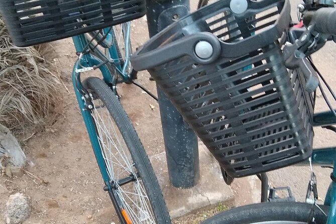 Bike Rental Tenerife - Who Is This Tour Best For?