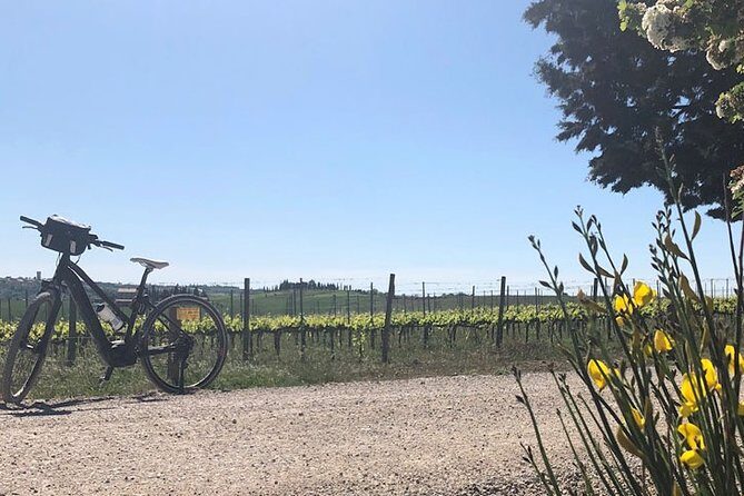 Bike Ride immersion val d'Orcia - The Sum Up