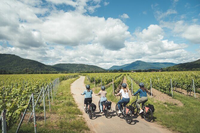 Bike ride on the Wine Route from Sélestat - Exploring the Alsace Wine Route by Bike from Sélestat: A Detailed Review
