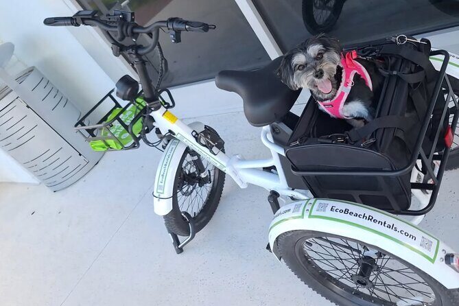 Bike Ride Through Ponte Vedra Beach Private Tour Florida - Key Points