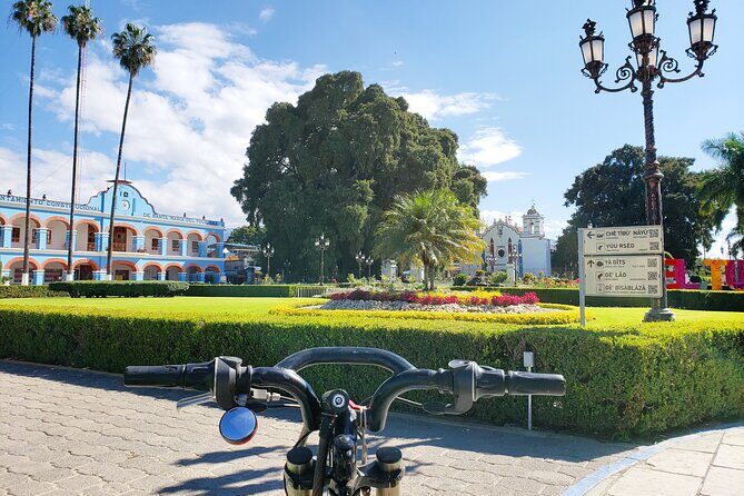 Bike Ride to the Largest Tree in the World - Key Points