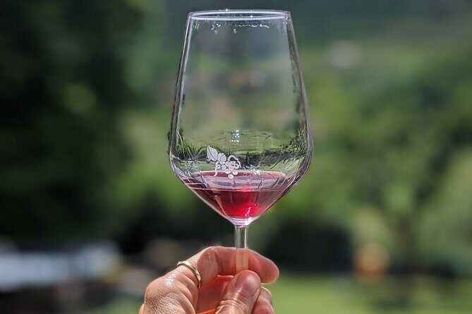 Bike Ride & WIne Tasting - Exploring the Itinerary: What to Expect on This Lucca Bike & Wine Tour
