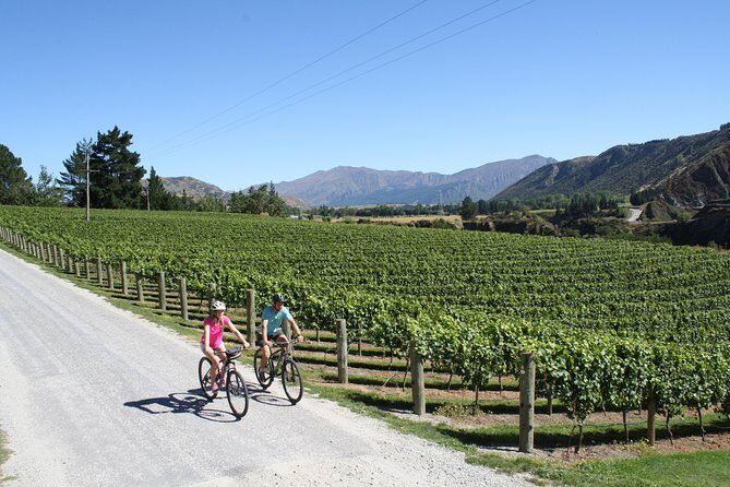 Bike The Wineries (3/4 Day) - Ride Through Queenstown Vineyards - Final Thoughts