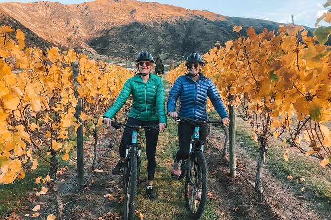 Bike The Wineries (Full-Day) - Bike & Wine Tour - How Does the Itinerary Unfold?