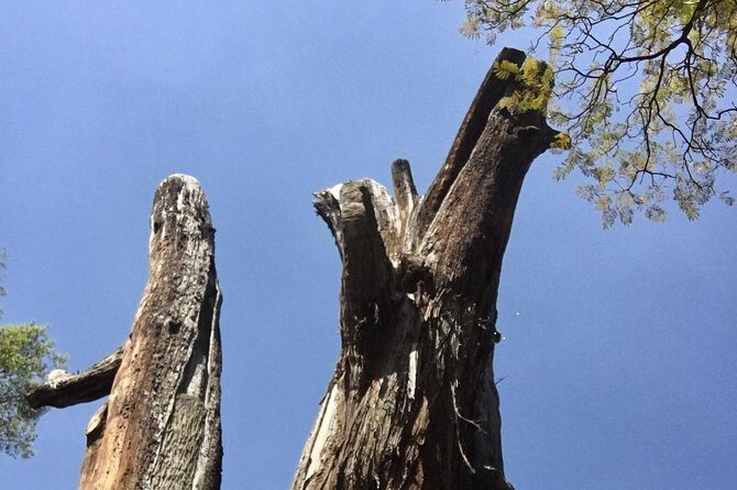 Bike Tour in Mexico City - Why This Tour Works Well for Different Travel Styles