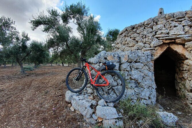 Bike Tour in the Alta Murgia National Park (Pulo of Altamura) - Pricing and Overall Value