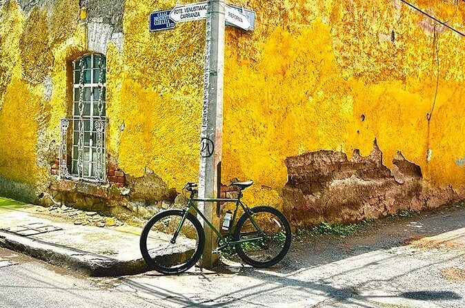 Bike Tour through Colonia Del Valle and Coyoacán / Mexico - Viveros Park and Coyoacán’s Green Spaces