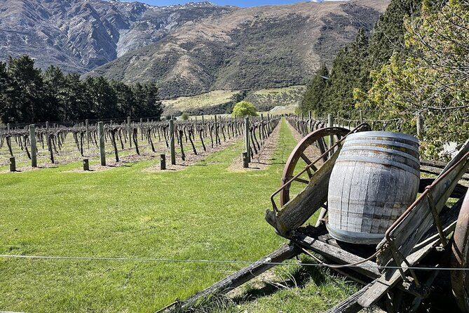 Bike & Wine Tour: Arrowtown to Valley of the Vines - Key Points