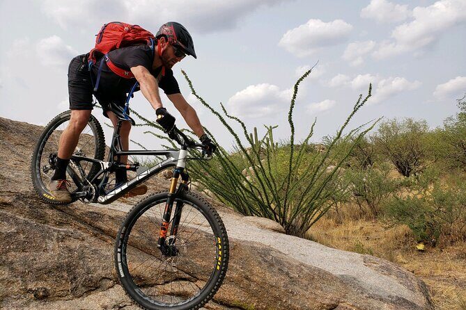 Biking in the Tortolita Mountains - An In-Depth Look at the Tortolita Mountain Biking Experience