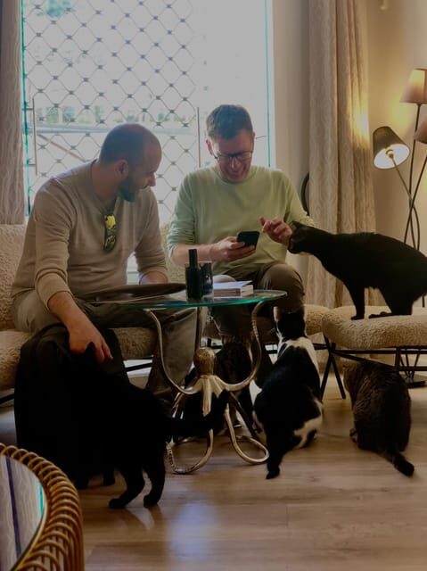 Bilbao: 1 Hour Entry Ticket to a Cat Café - Key Points